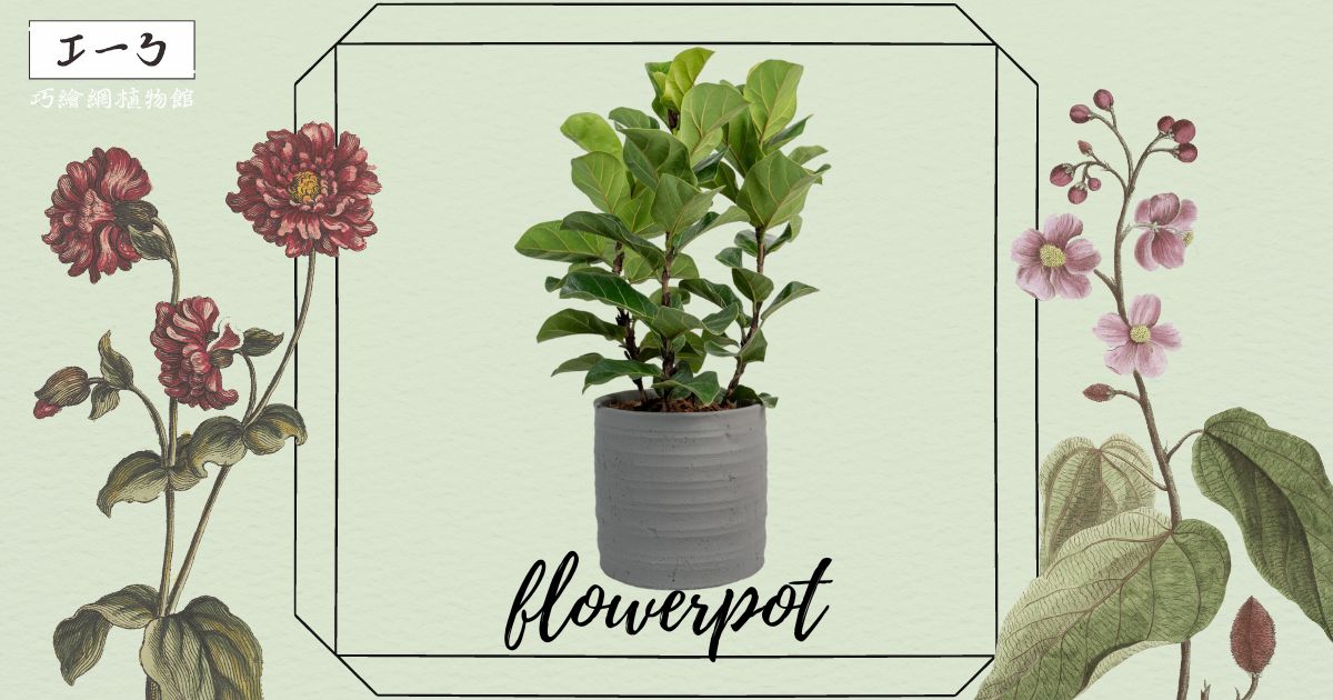 素雅橫紋花盆灰 不含植物 陶瓷花盆 水泥盆 多肉花盆 水泥花盆 花器 陶盆 花器 | 巧繪網植物館 | 植物盆栽送禮推薦