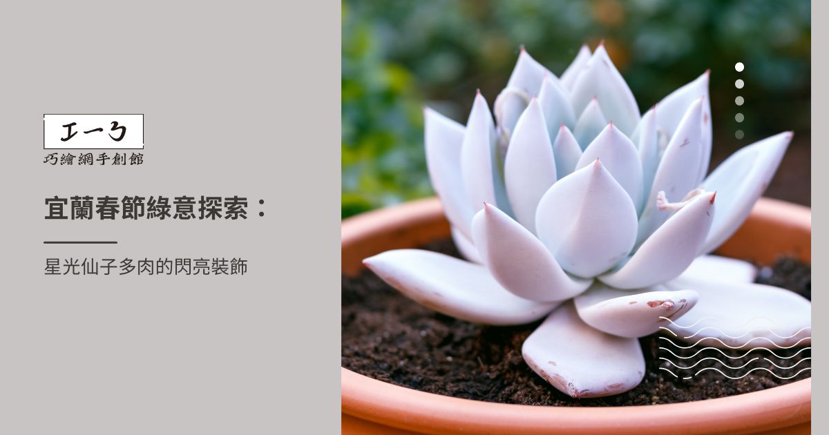 宜蘭春節綠意探索：星光仙子多肉的閃亮裝飾 | 巧繪網植物館 | 植物盆栽送禮推薦